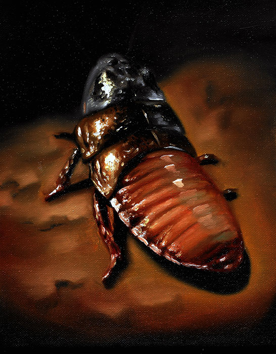 Cockroach Art